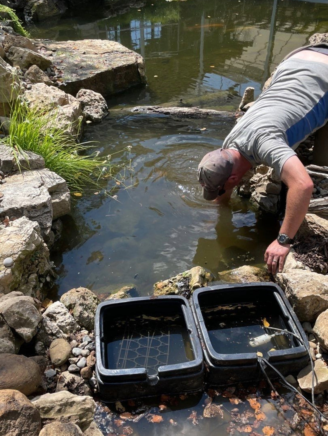 Welcome – Pondscape