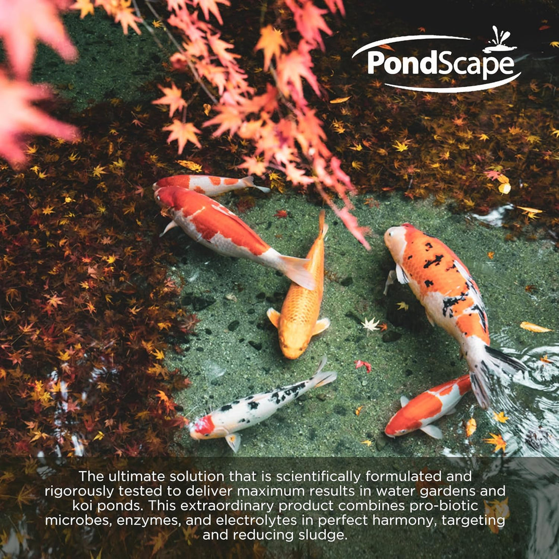 PondScape SLUDGE ASSAULT - Beneficial Bacteria Blocks for Pond Muck ...