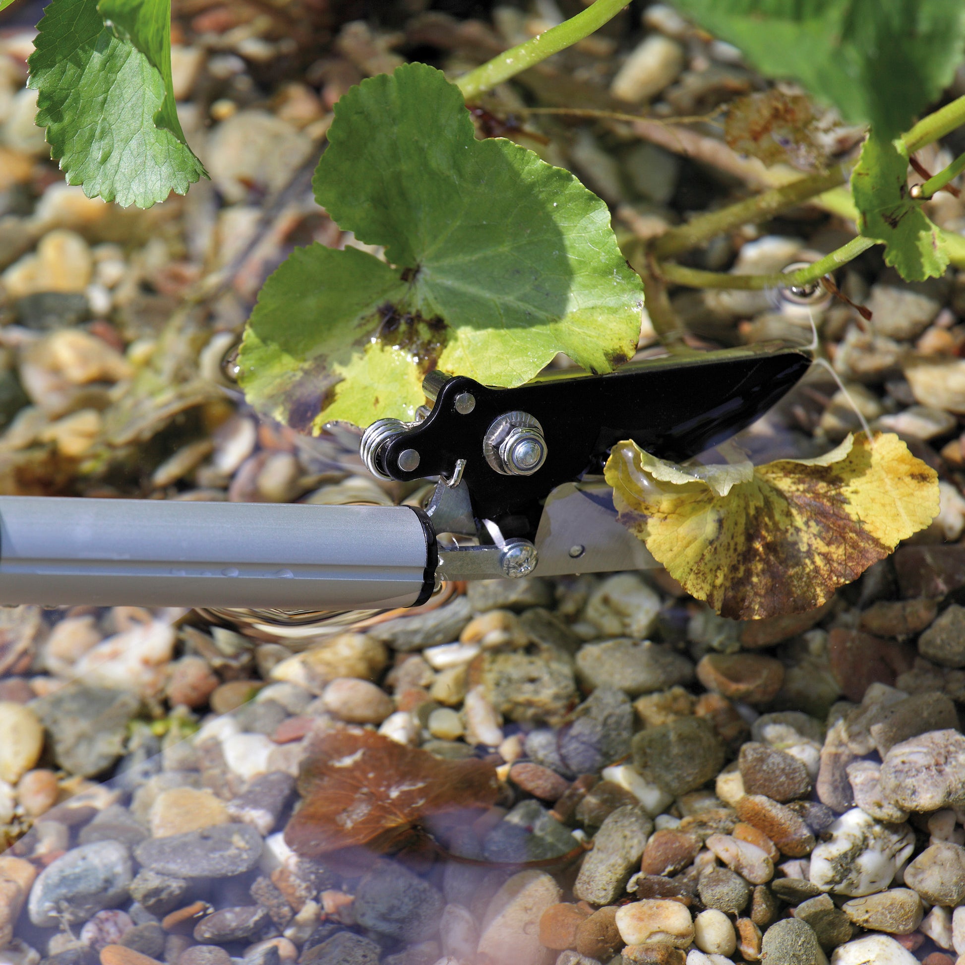 Oase FlexiCut 2-in-1 – Pondscape