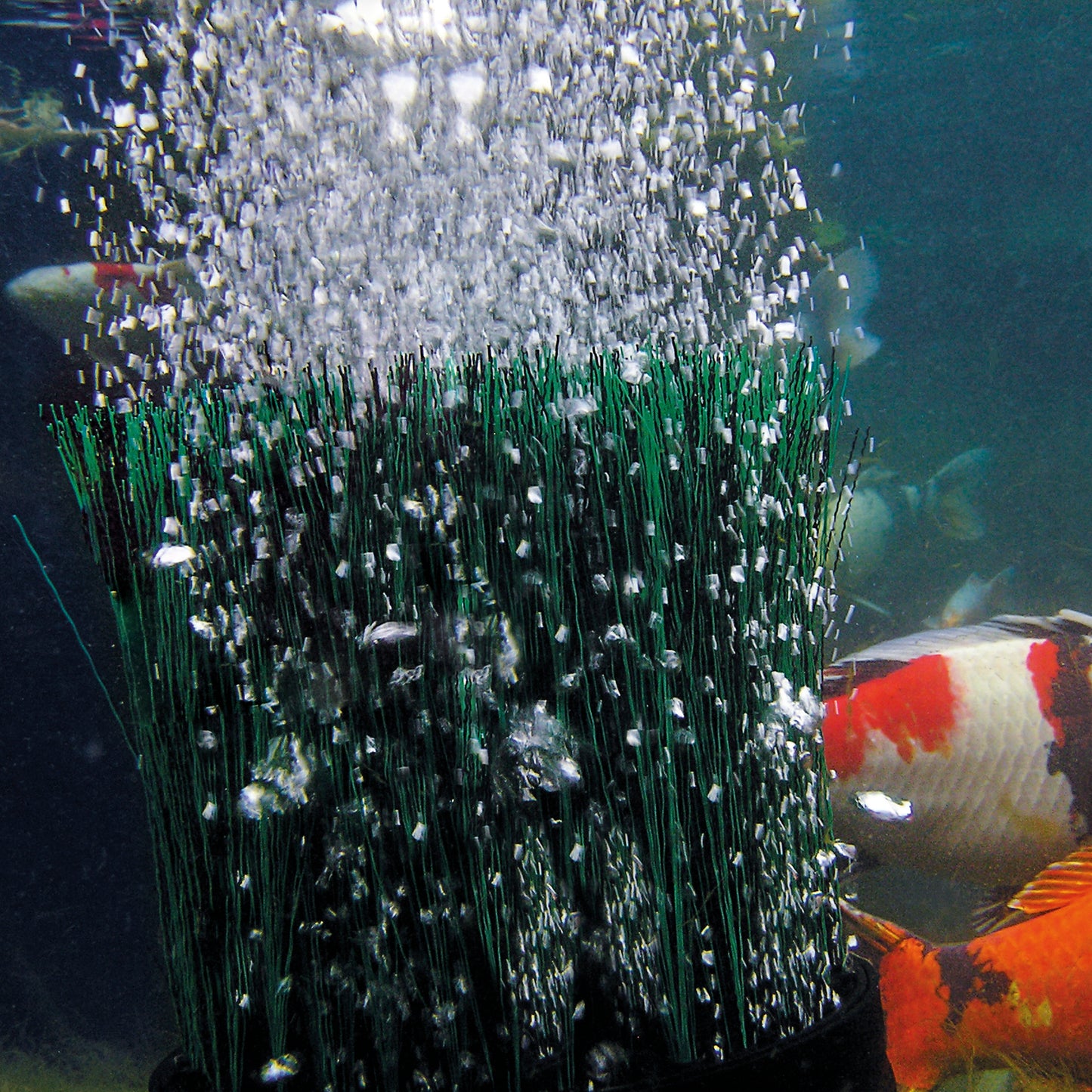 Oase OxyTex Air Diffuser – Pondscape